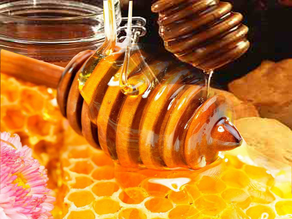 Harga Madu Hutan Kalimantan | Jual Madu Asli Online | Khasiat Madu ...